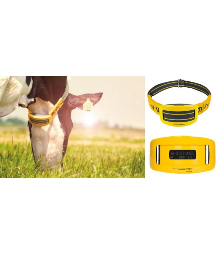 Tag Sensor de actividad Nedap FER4 (10 und.)