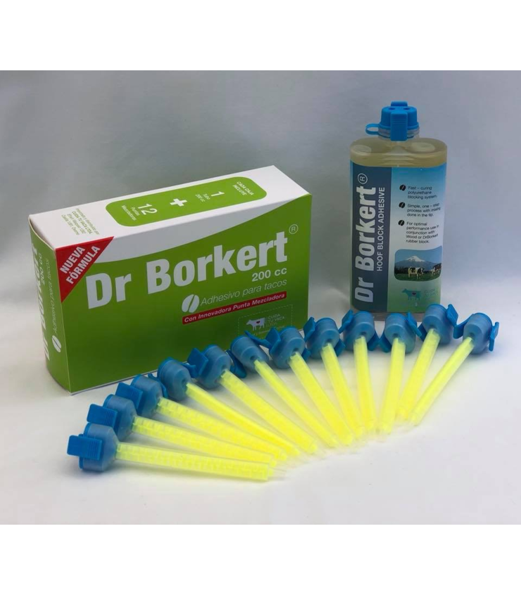 Adhesivo Dr. Borkert 200 ml C/12 Puntillas aplicadoras
