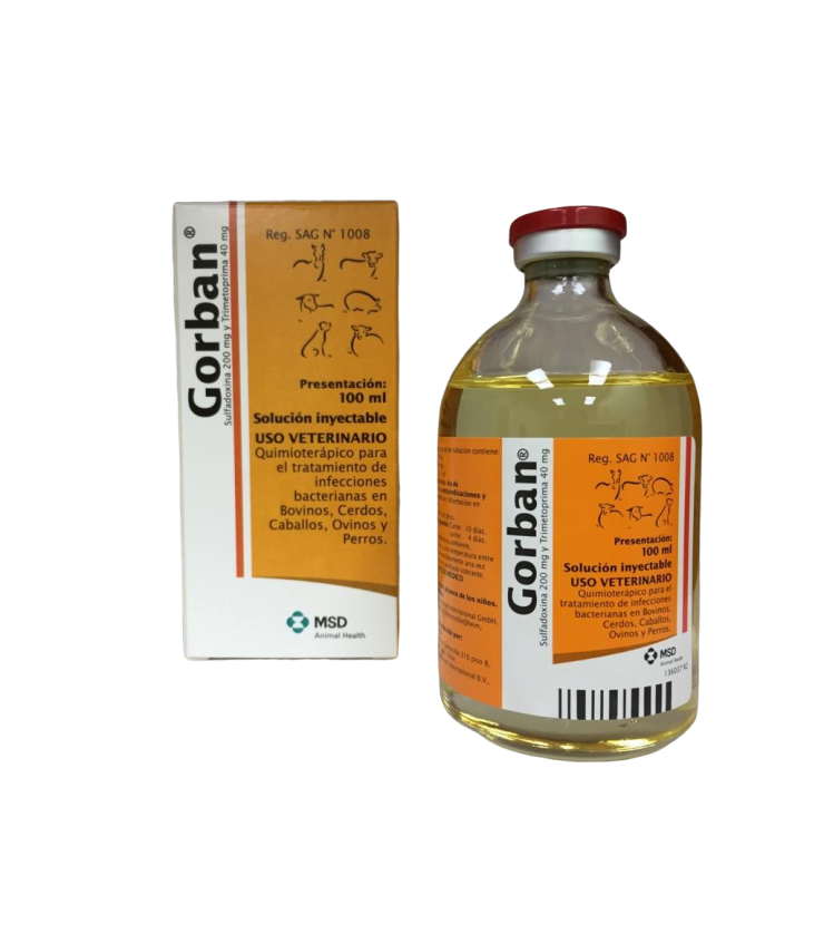 Gorban 24% 100 cc